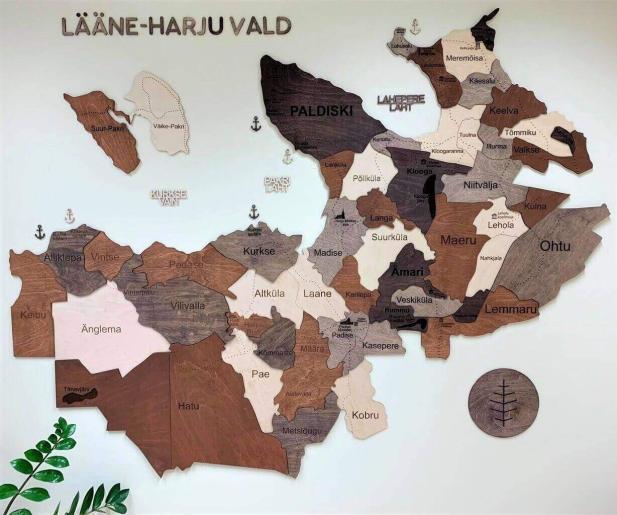 Lääne-Harju rural municipality 3D wall map - EnjoythewoodEstonia
